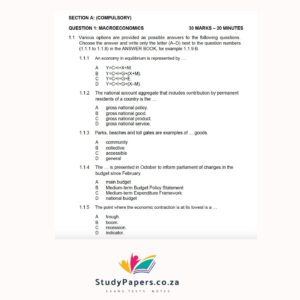 Economics Grade 12 June 2025 P1 & P2 - StudyPapers.co.za